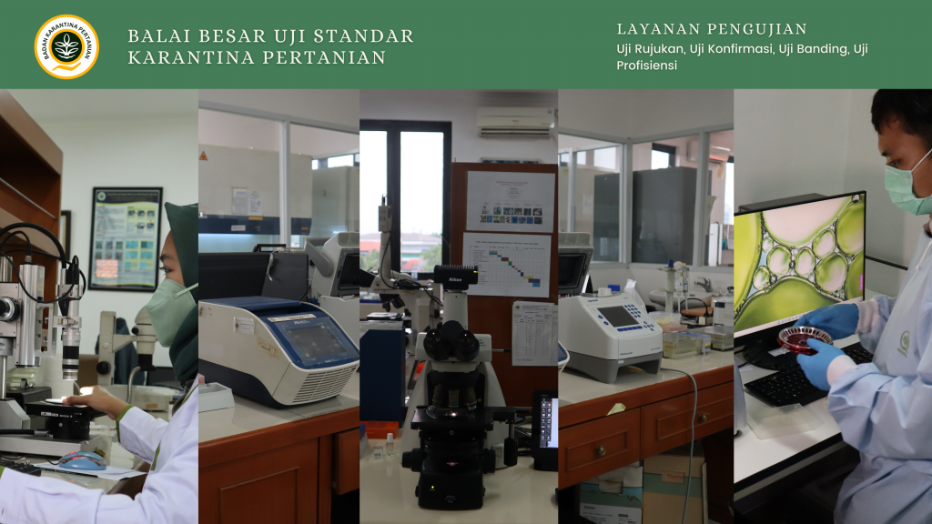Laboratorium Karantina Tumbuhan – Balai Besar Uji Standar Karantina Hewan Ikan dan Tumbuhan