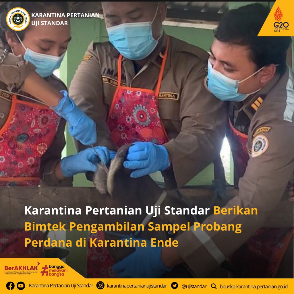 Karantina Pertanian Uji Standar Berikan Bimtek Pengambilan Sampel ...